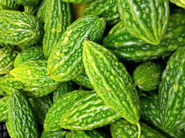 Bitter Gourd Plant: Complete Growing and Care Guide | Fruit | Gardening Bud