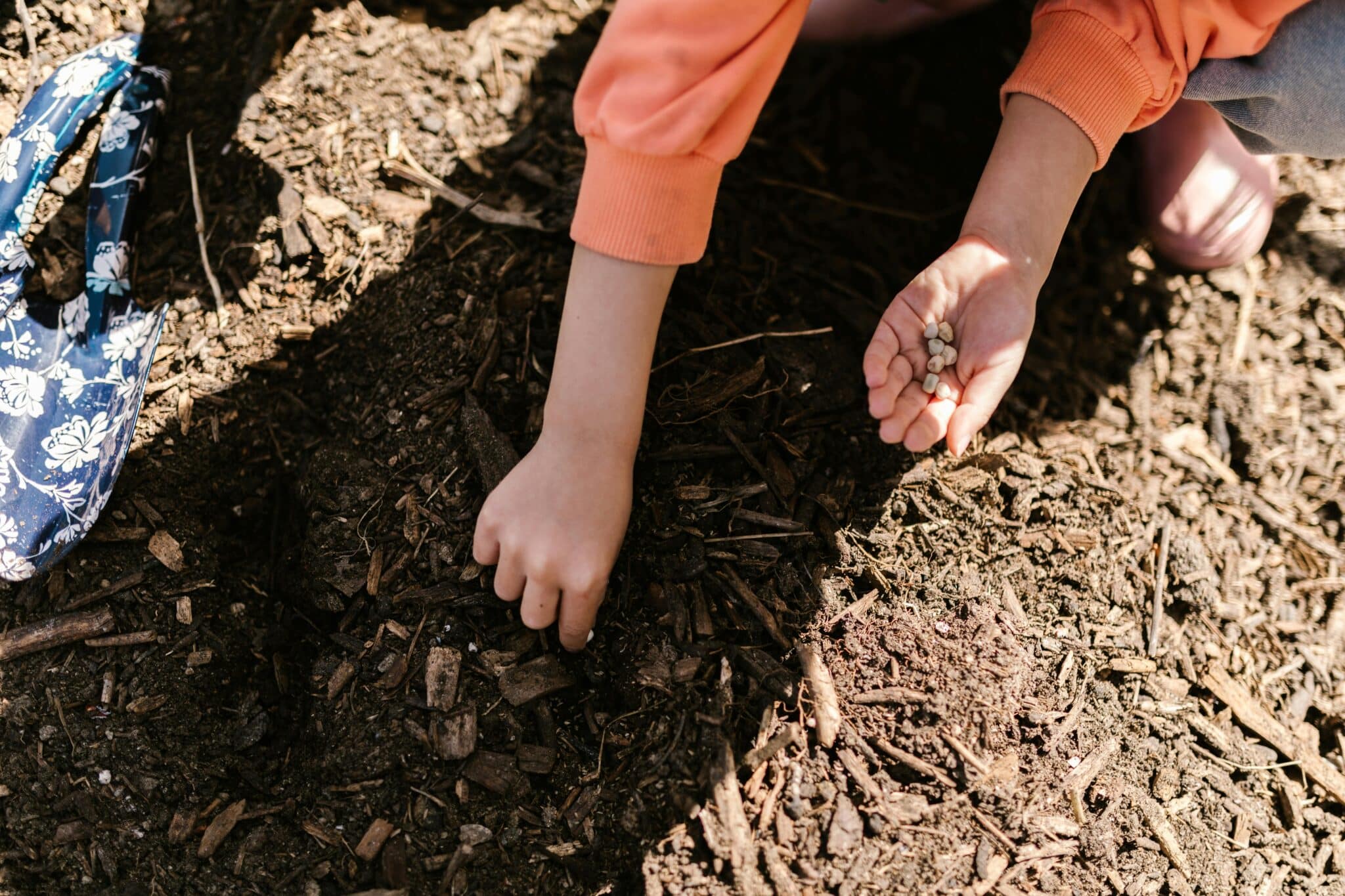 5 interesting Ways to Recognize Loamy Soil in Garden | Gardening ...